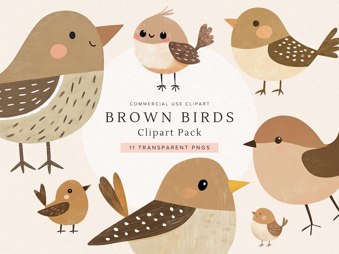 Whimsical Birds Clipart | Cute Watercolor Bird Art | Digital Download ...