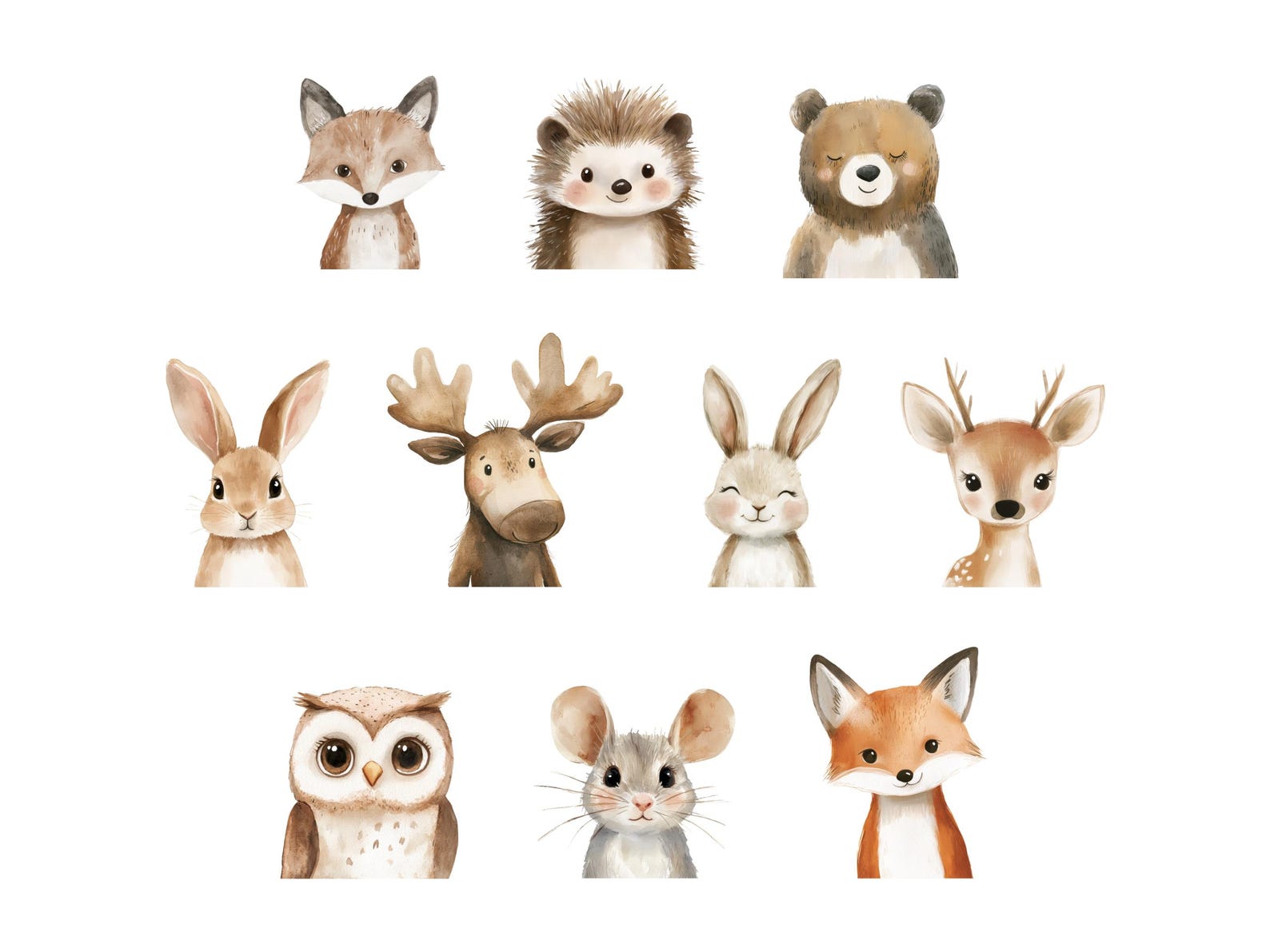 Watercolor Woodland Clipart | Cute Boho Animal Faces | Baby Animal ...