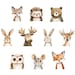 Watercolor Woodland Clipart | Cute Boho Animal Faces | Baby Animal ...