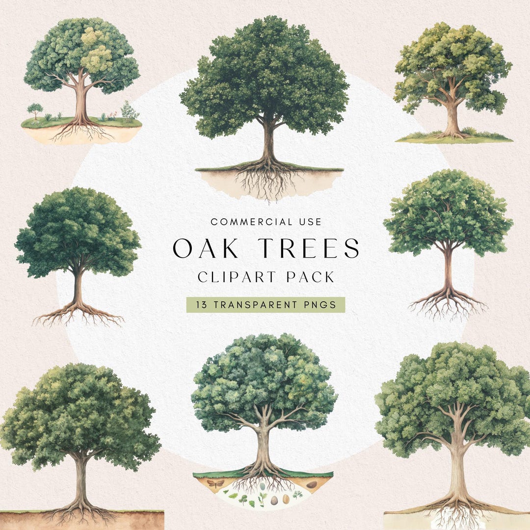 Oak Tree With Roots Clipart Family Trees Scrapbooking Nature Inspired ...