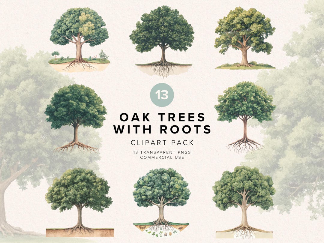 Oak Tree With Roots Clipart | Family Trees | Scrapbooking | Nature ...