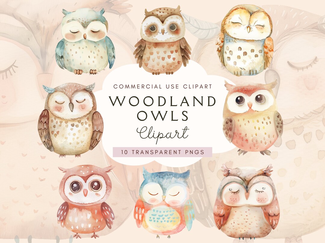 Woodland Owl Clipart | Autumn Png | Woodland Animals Clipart | Forest ...