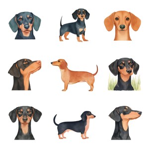 Cute Dachshund Clipart Bundle | Sausage Dog Art | Digital Download for ...