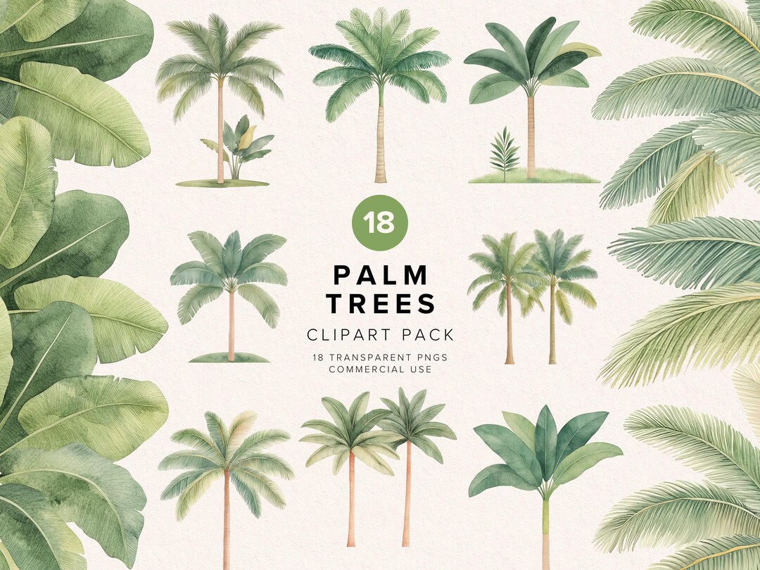 Palm Tree Watercolor Clipart Bundle | Boho Clip Art | Summer Beach ...