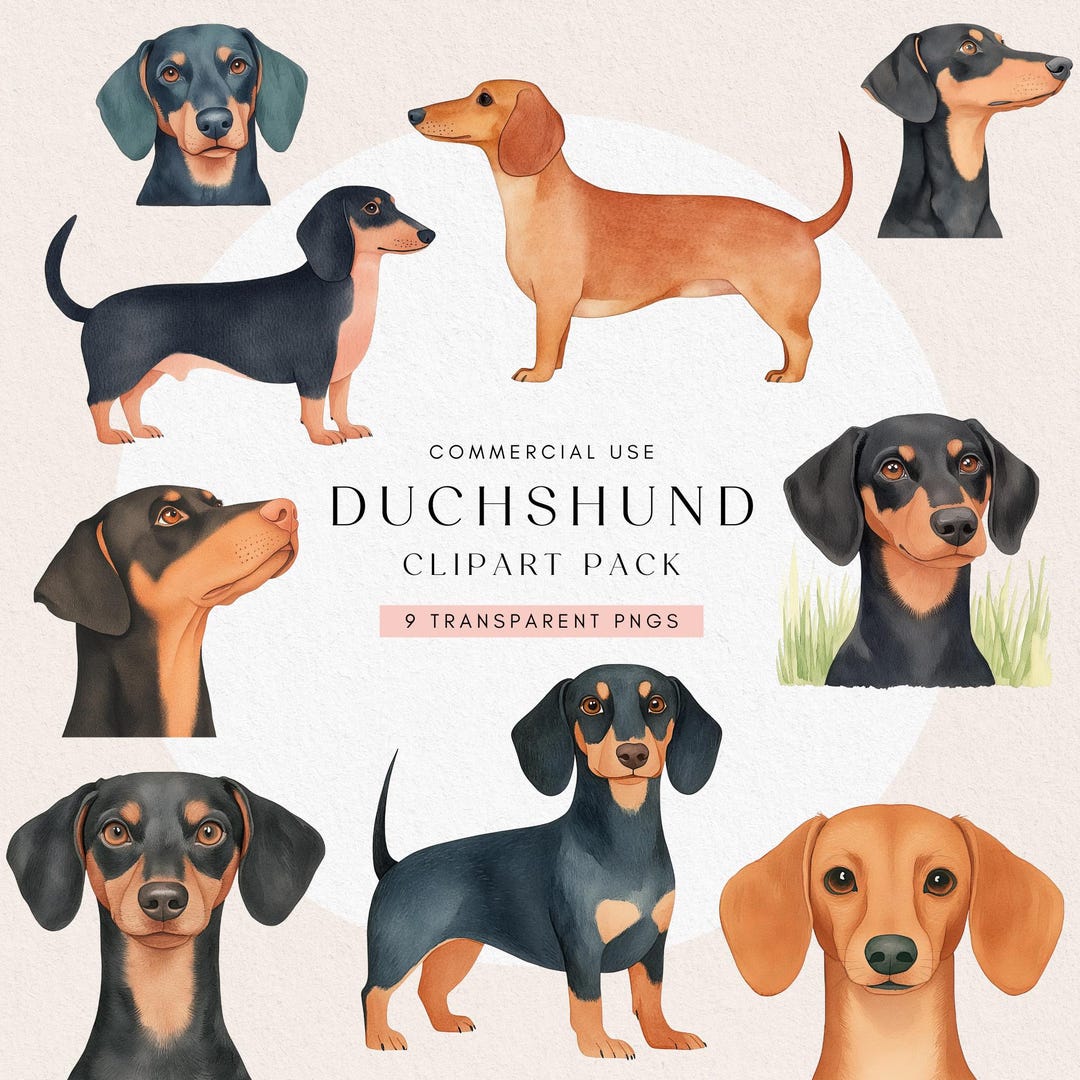 Cute Dachshund Clipart Bundle | Sausage Dog Art | Digital Download for ...