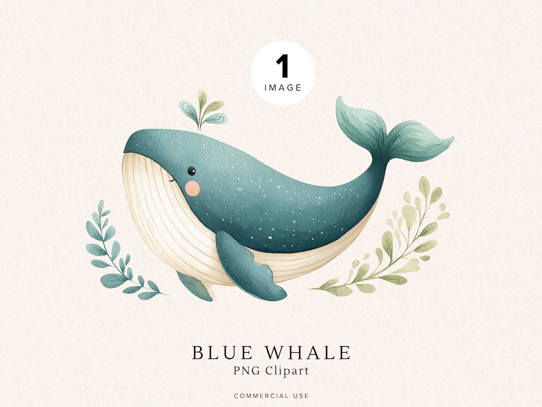 Watercolor Whale Clipart | Blue Whale | Cute Ocean Animals PNG ...