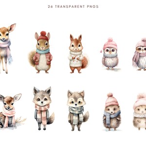Boho Woodland Animal Clipart | Baby Shower | Watercolor Autumn Winter ...