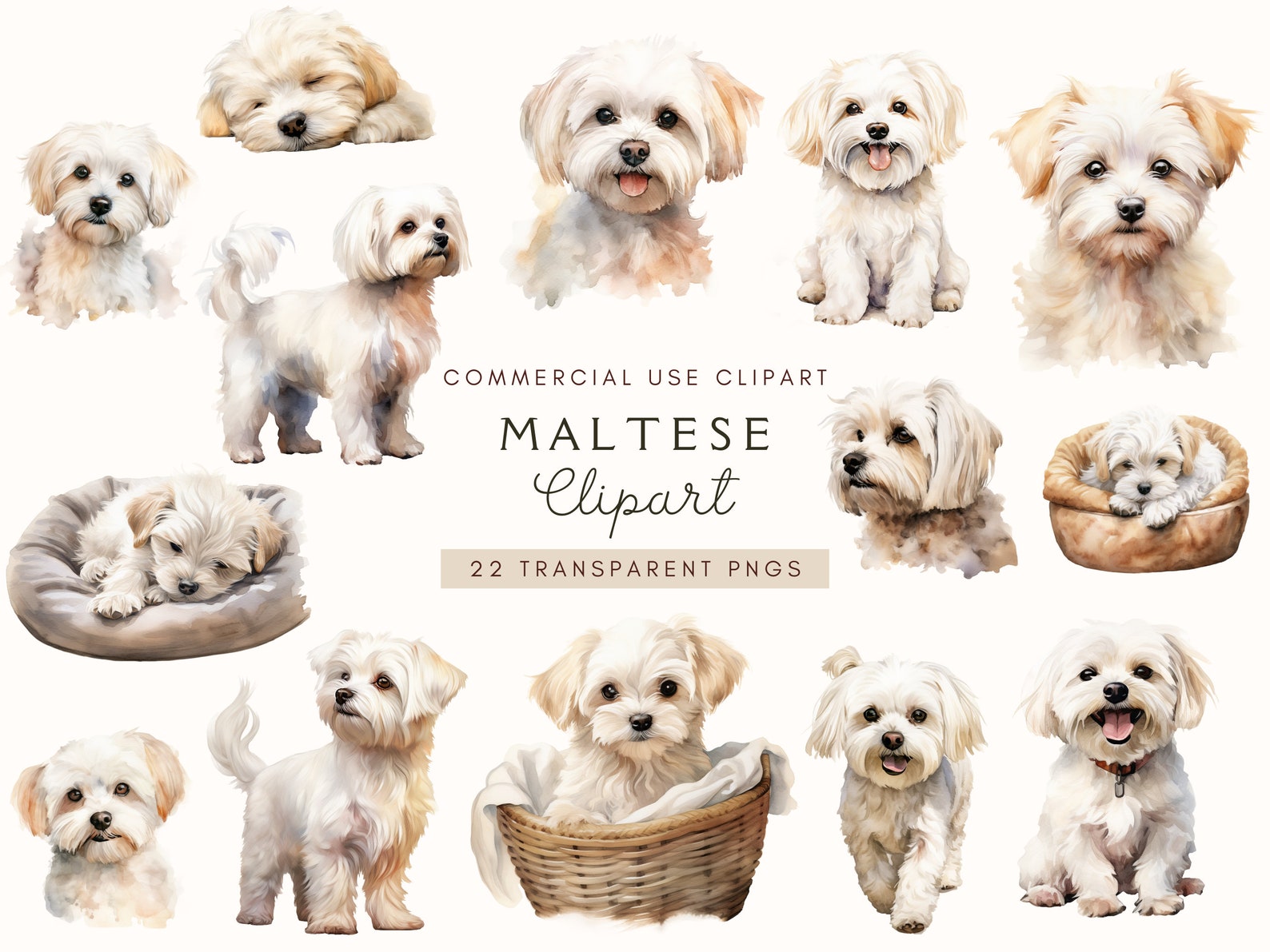 Maltese Clipart Watercolor | Dog Portrait | Maltese PNG Bundle | Junk ...