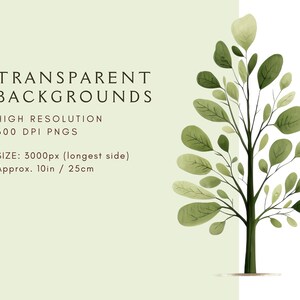 Watercolor Trees Clipart | Whimsical Trees Clip Art | Greeting Card ...