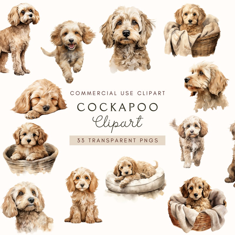 Cockapoo - Etsy