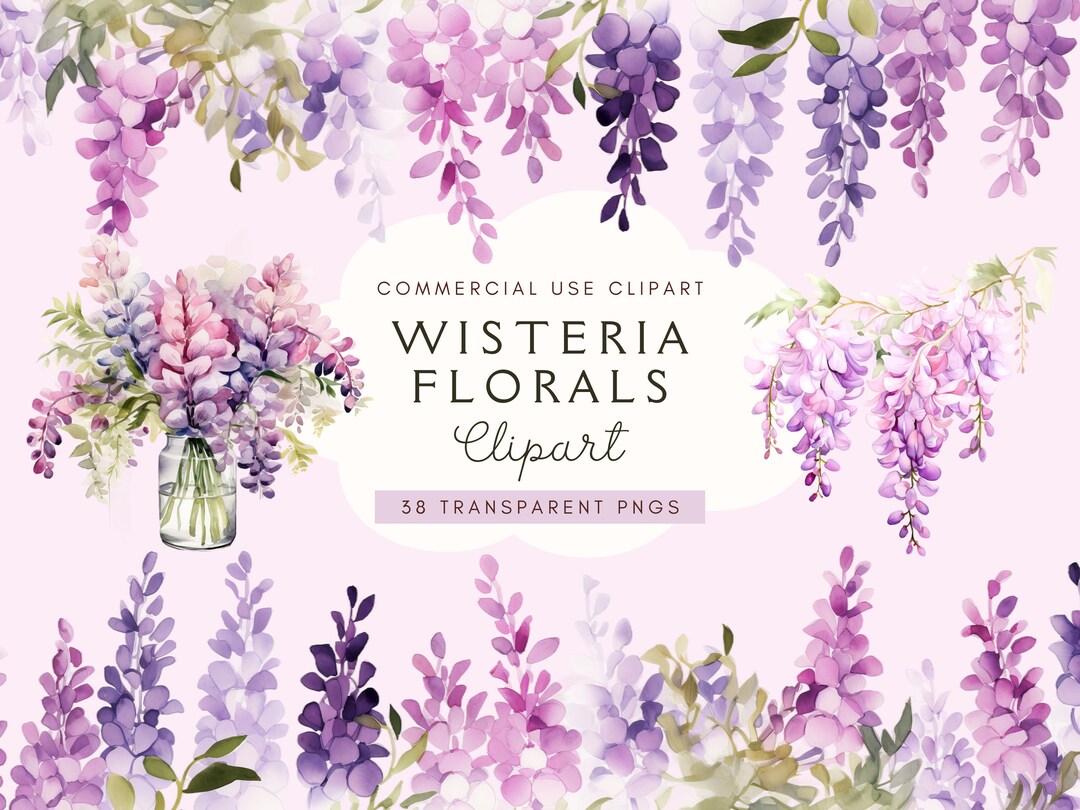 Wisteria Clipart | Watercolor | Wisteria Floral Clip Art | Png Floral ...