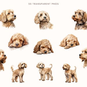 Cockapoo Clipart | Dog Png | Watercolor Clipart | Dog Sublimation | Dog ...