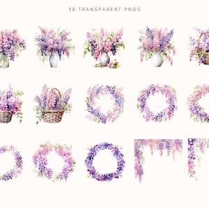 Wisteria Clipart | Watercolor | Wisteria Floral Clip Art | Png Floral ...