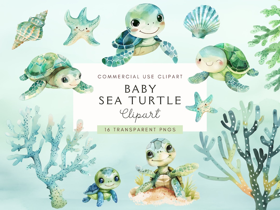 Baby Sea Turtle Clipart Watercolor Baby Sea Turtle Png Ocean Animals ...