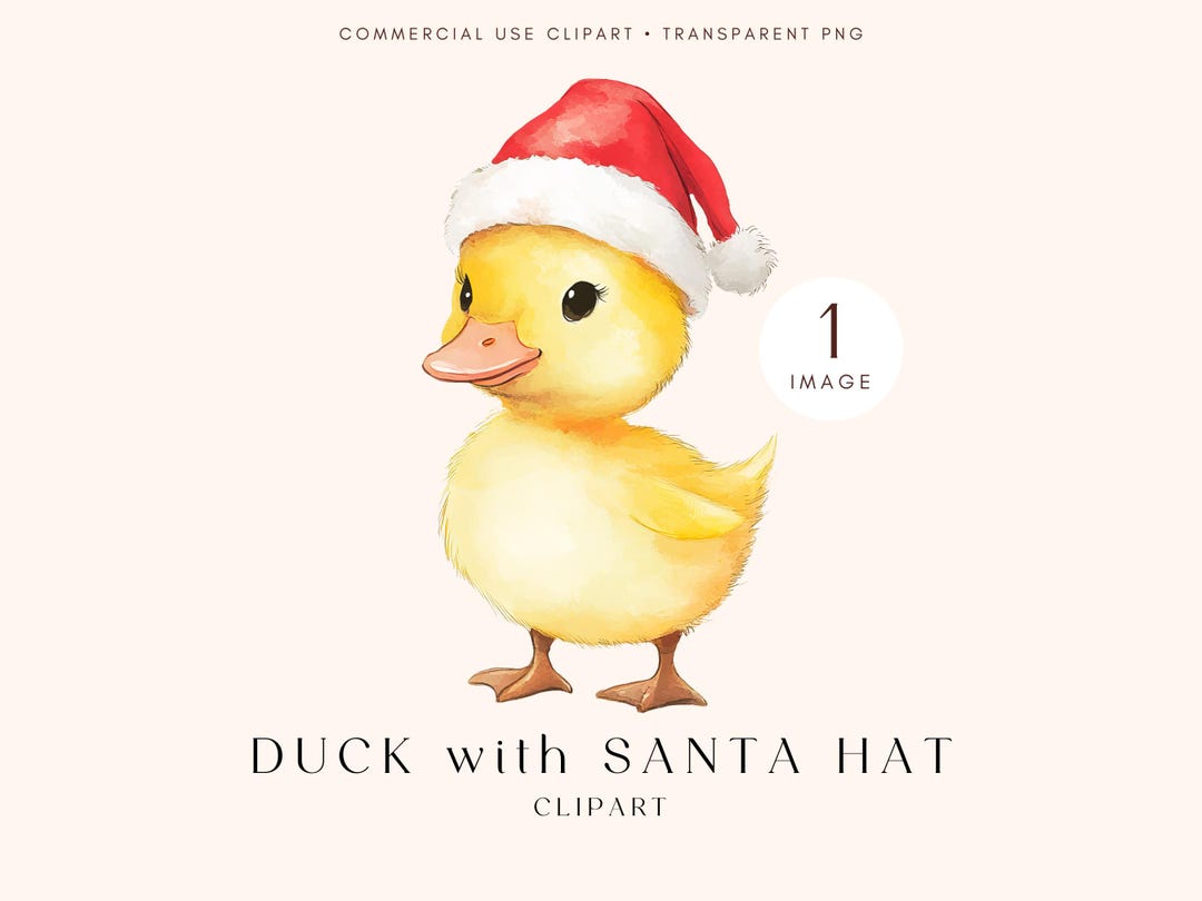 Watercolor Christmas Duck, Santa Hat Clipart | Holiday Decor | for ...
