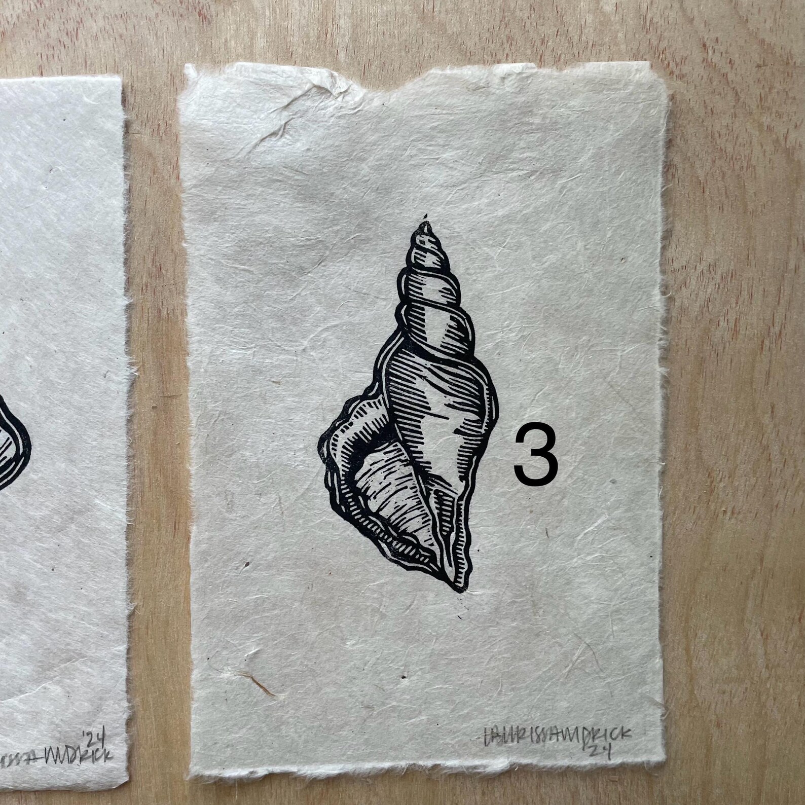Small Seashell Linocut Block Print - 3 Variations - Ocean Nautical ...