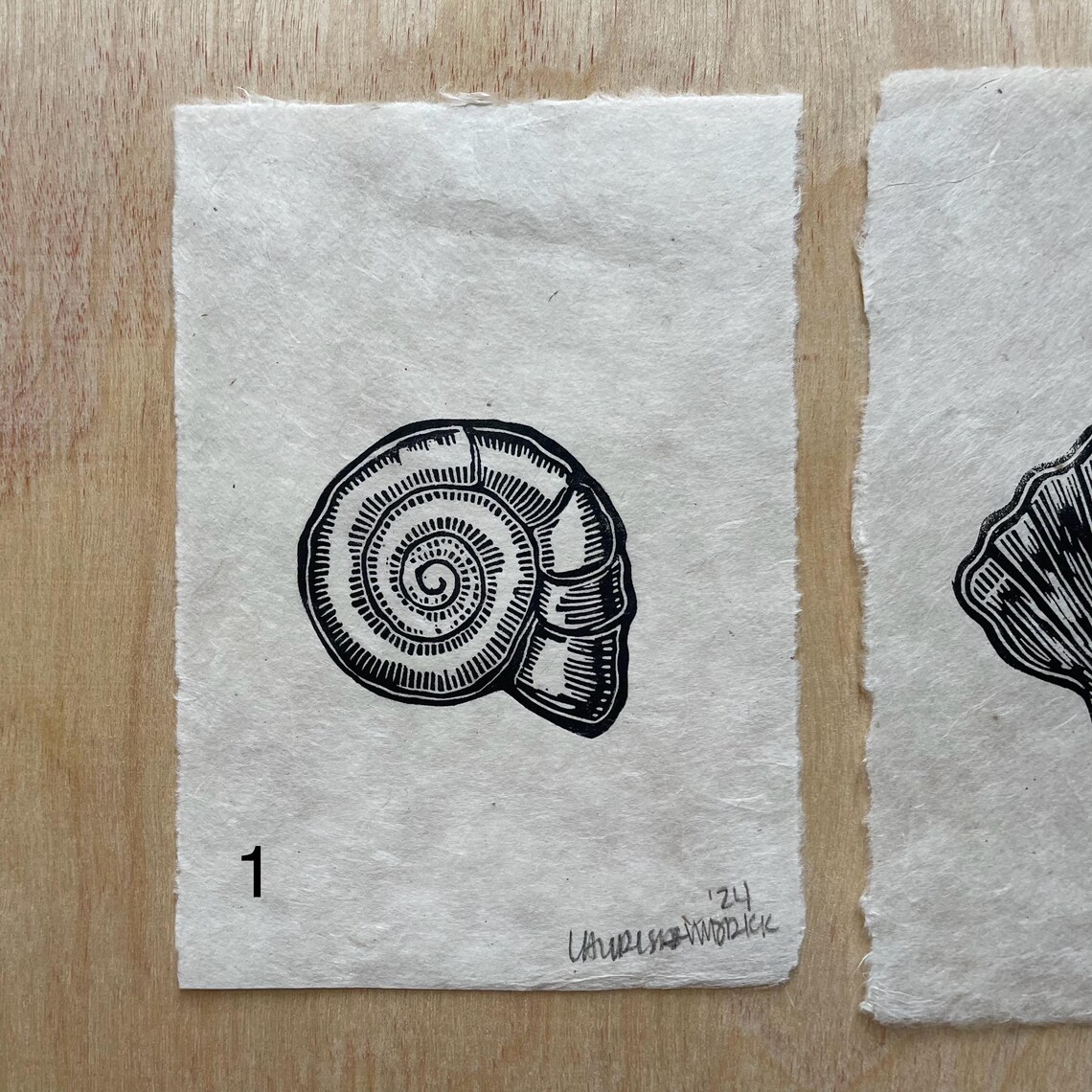 Small Seashell Linocut Block Print - 3 Variations - Ocean Nautical ...