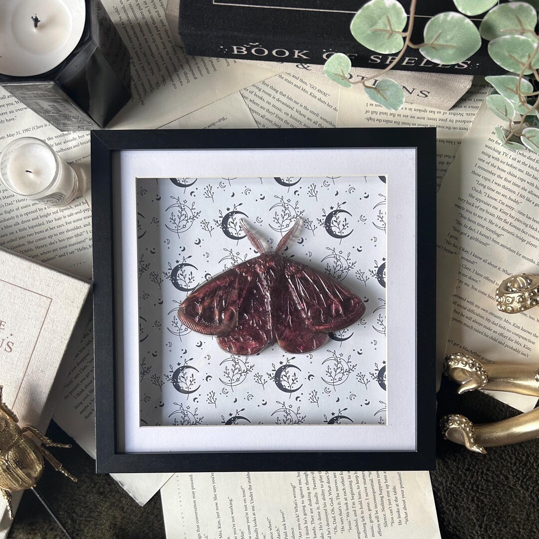 Luna Moth Wall Art | Handmade Resin Moth Frame | Gothic Entomology ...