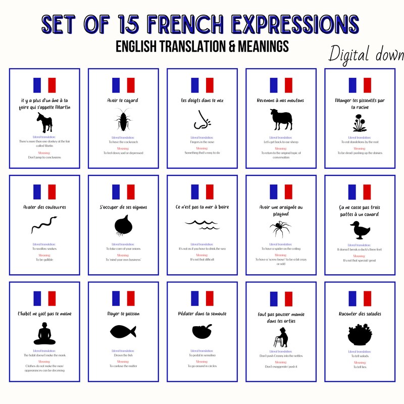 French Language Posters - Etsy