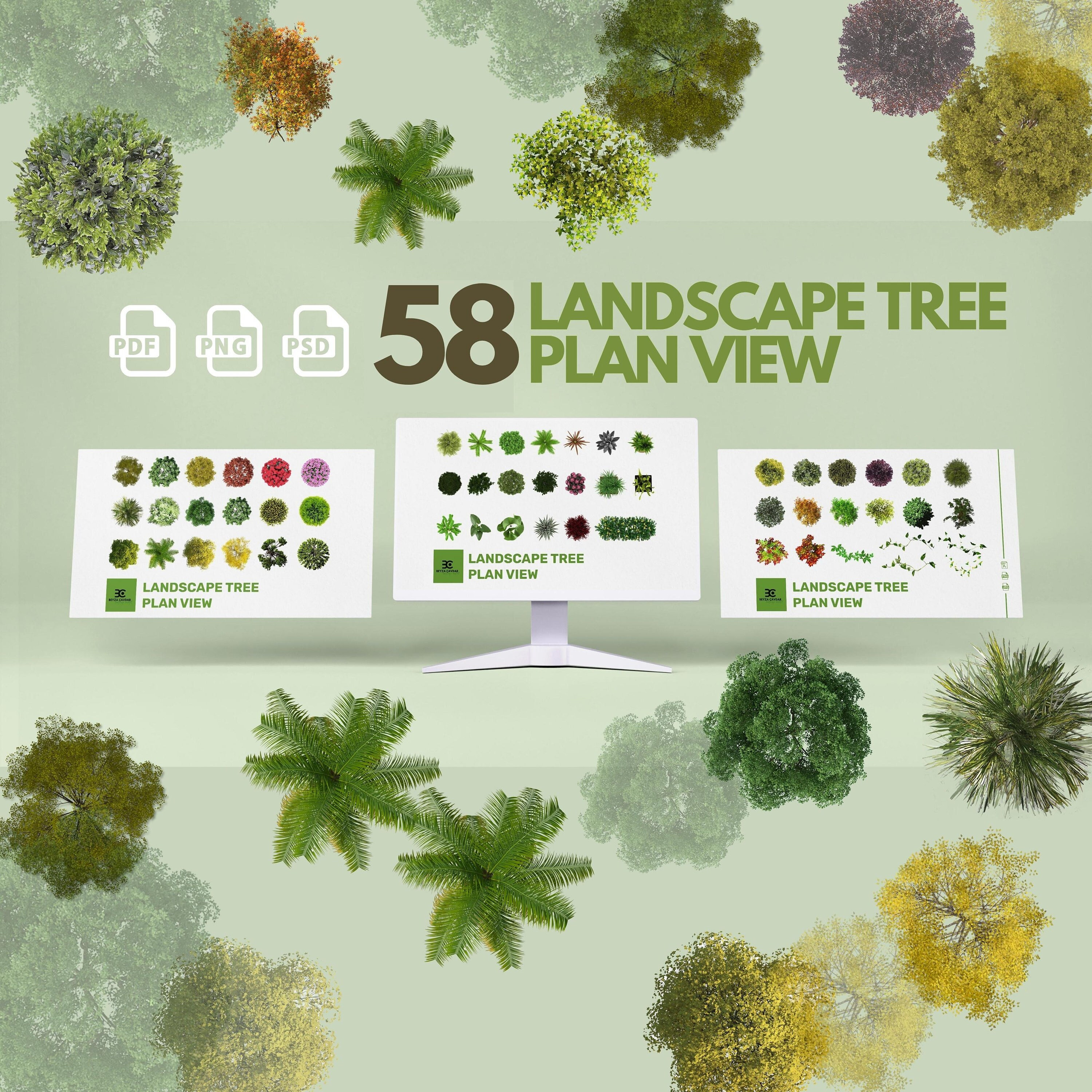 Photoshop Trees Plan View