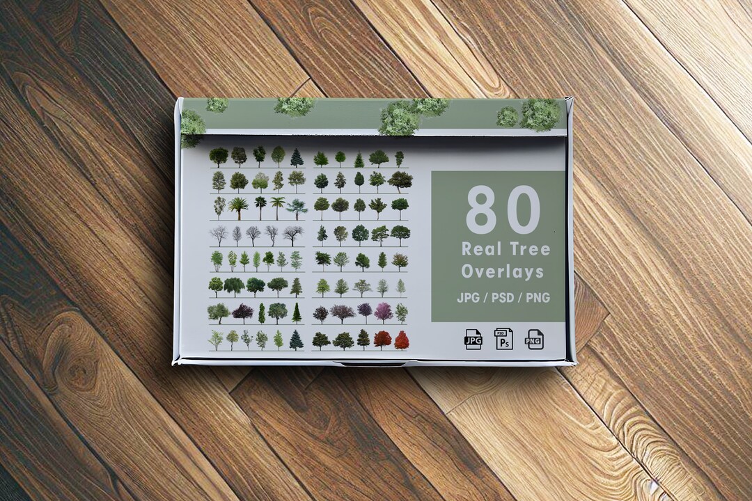 80 Tree Overlays, PNG Transparent Background, Real Tree Psd ...