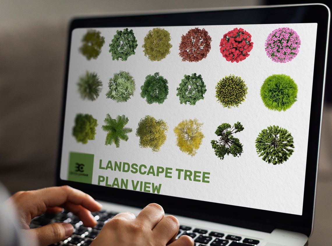 Tree Top View, Landscape Tree Plan View, Photoshop PSD, Landscape Plan ...