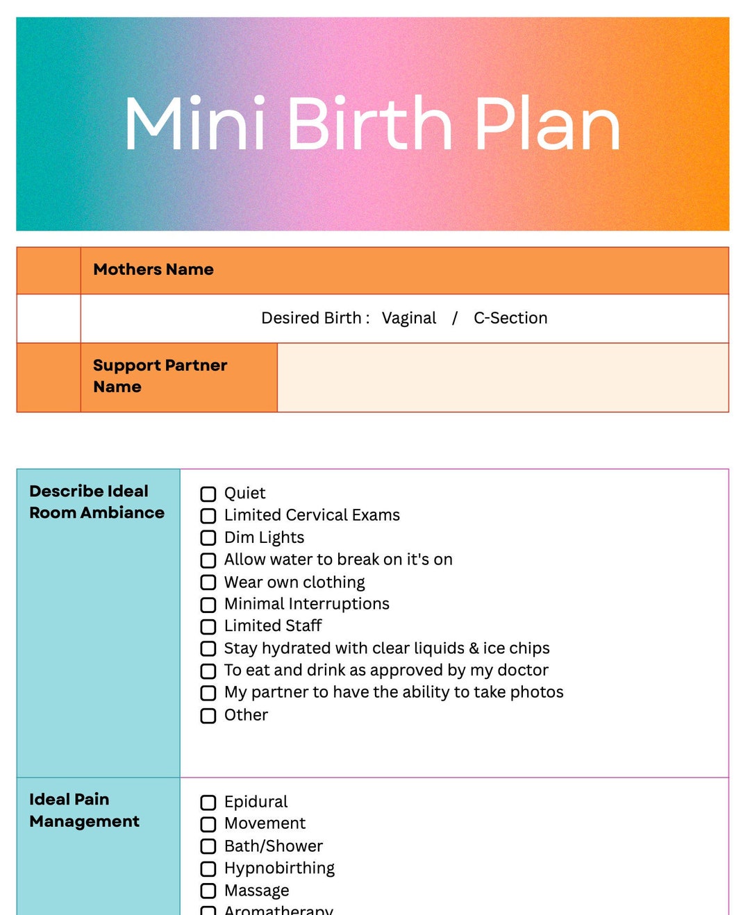 Birth Plan Mini Template - Etsy