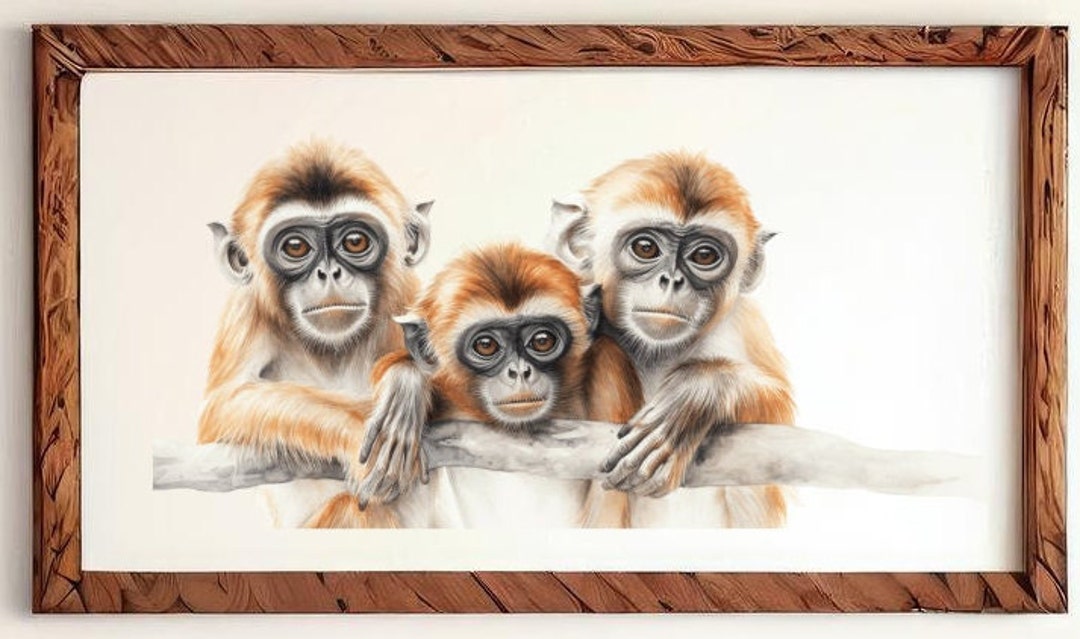 Enchanting Spider Monkey Trio Art Print, Kids Room Decor, Animal Wall ...