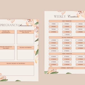 Pregnancy Planner Printable Printable Pregnancy Journal Pregnancy ...
