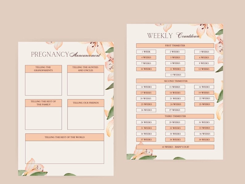 Pregnancy Planner Printable Printable Pregnancy Journal - Etsy
