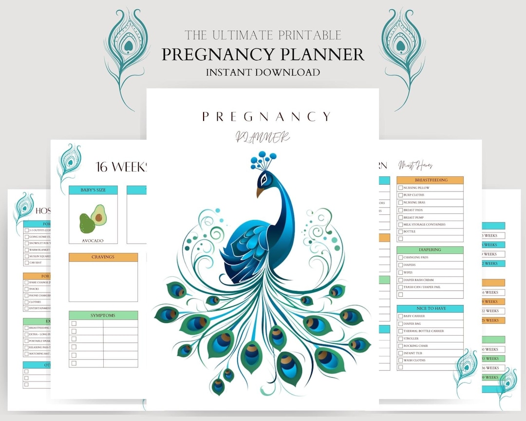 Pregnancy Planner Printable Printable Pregnancy Journal Pregnancy ...