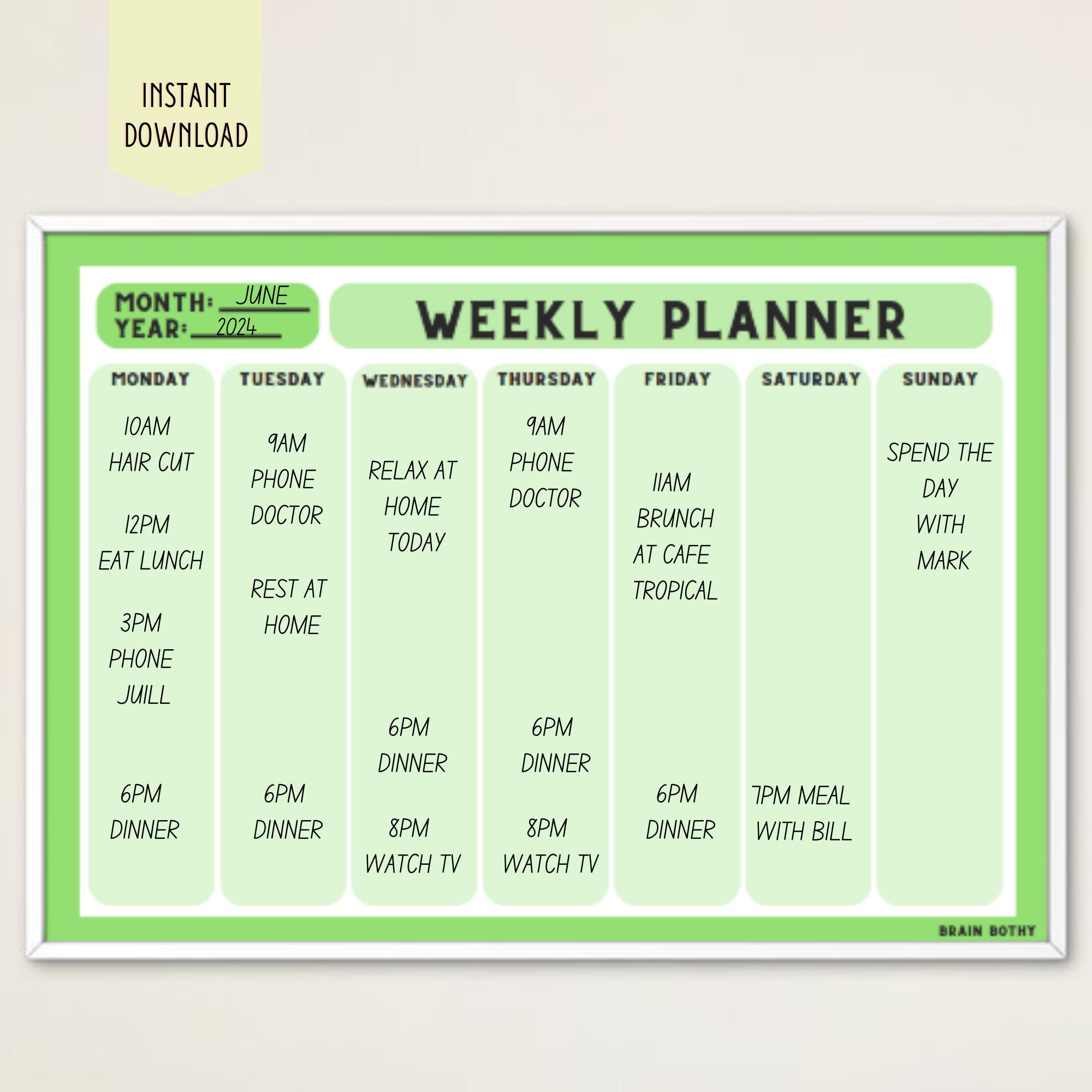 Dementia Care Weekly Planner: Printable Routine Schedule (PDF Download ...