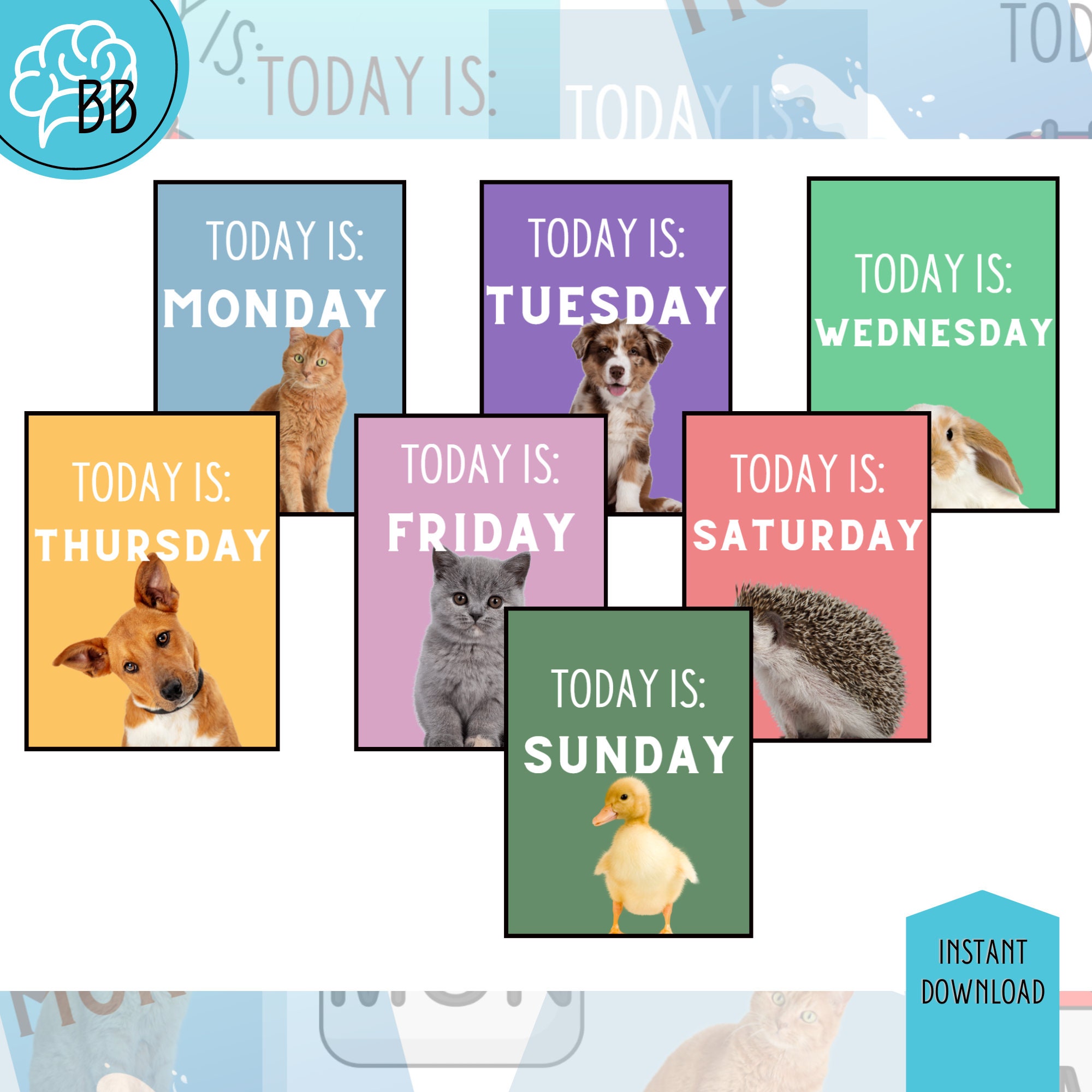 Days of the Week Poster, Communication Card, Dementia Aid, Memory Loss ...