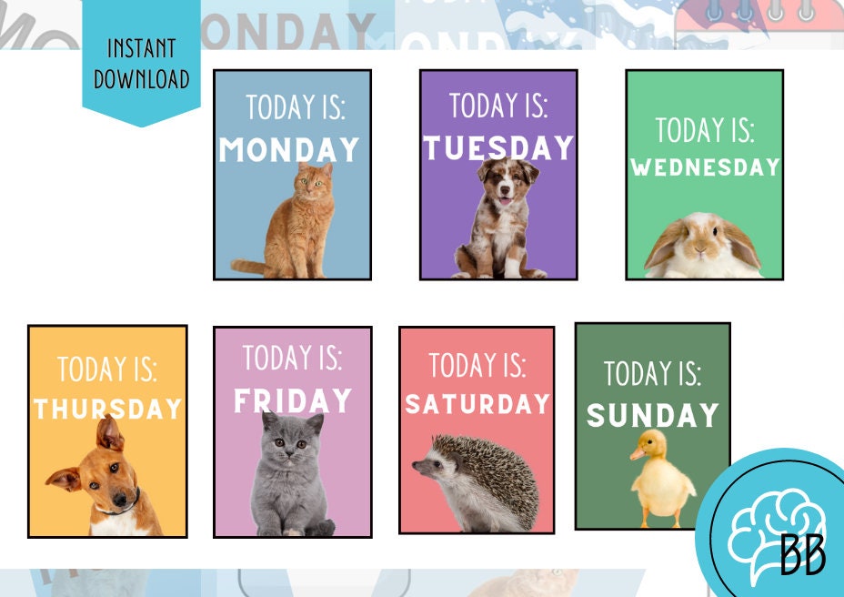 Days of the Week Reminder Days of the Week Poster Dementia - Etsy