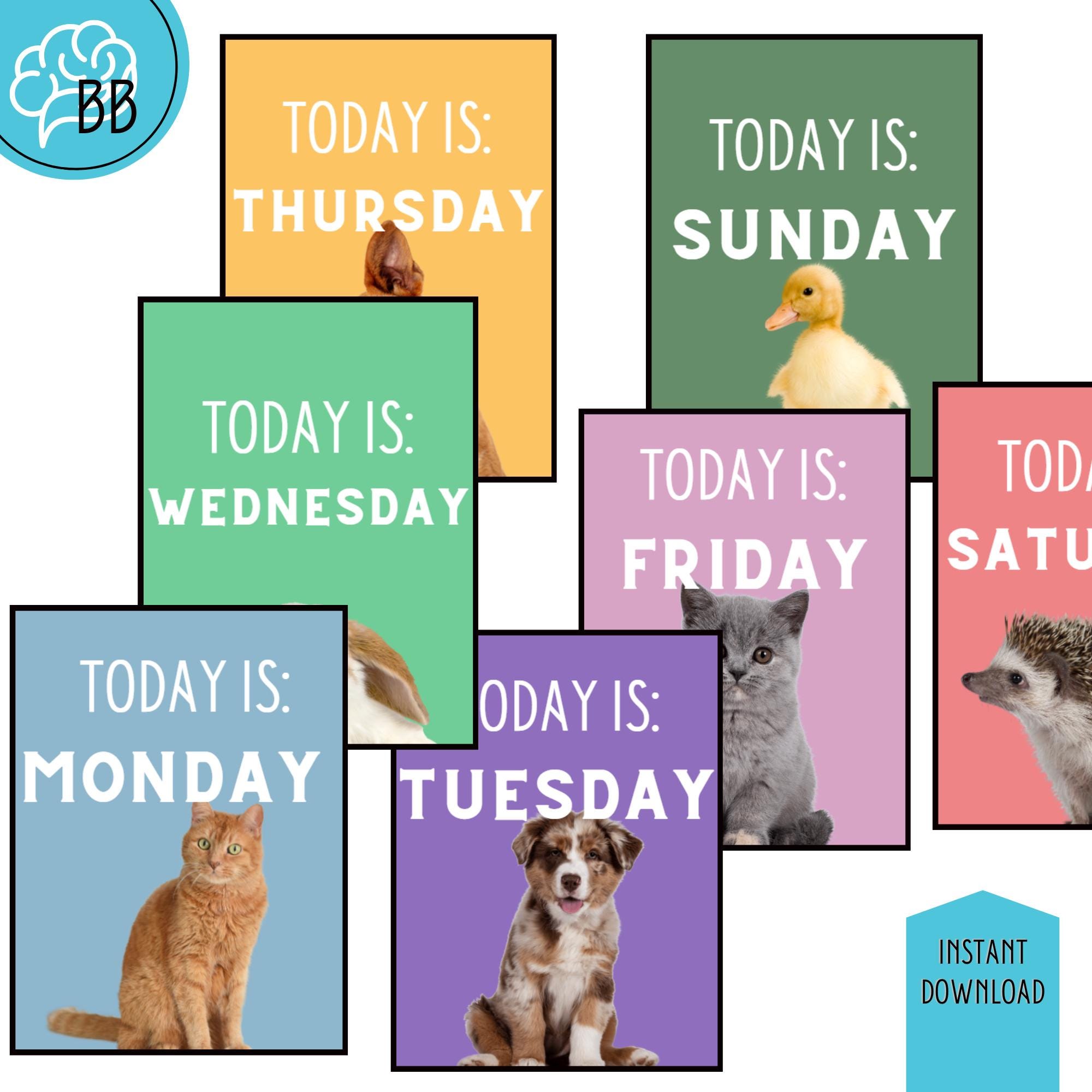 Days of the Week Memory Cards for Dementia (PDF Download) - Etsy