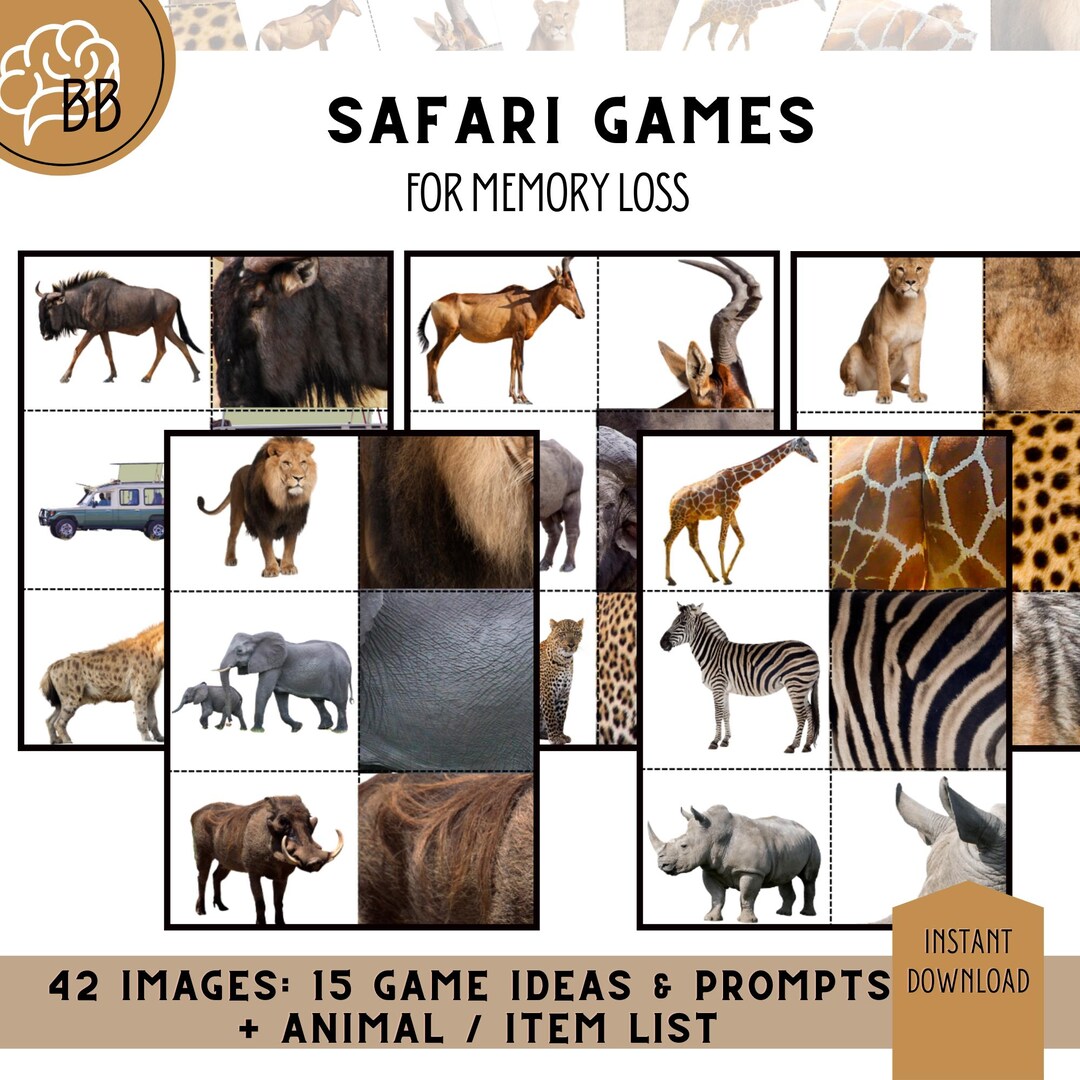 Safari Fun Dementia Friendly Memory Loss Activity, Memory Game for ...