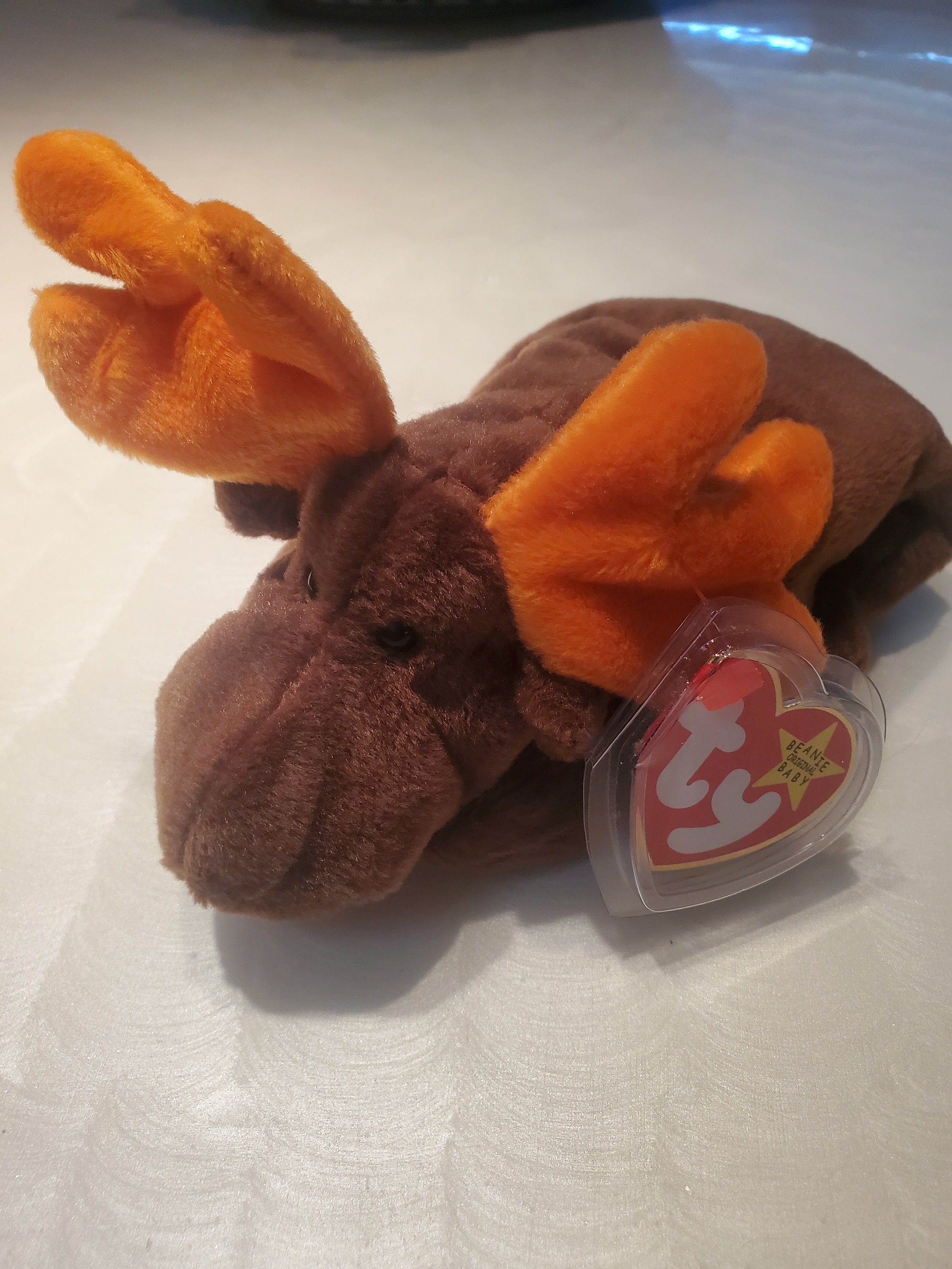Rare Canadian Beanie Baby :chocolate - Etsy