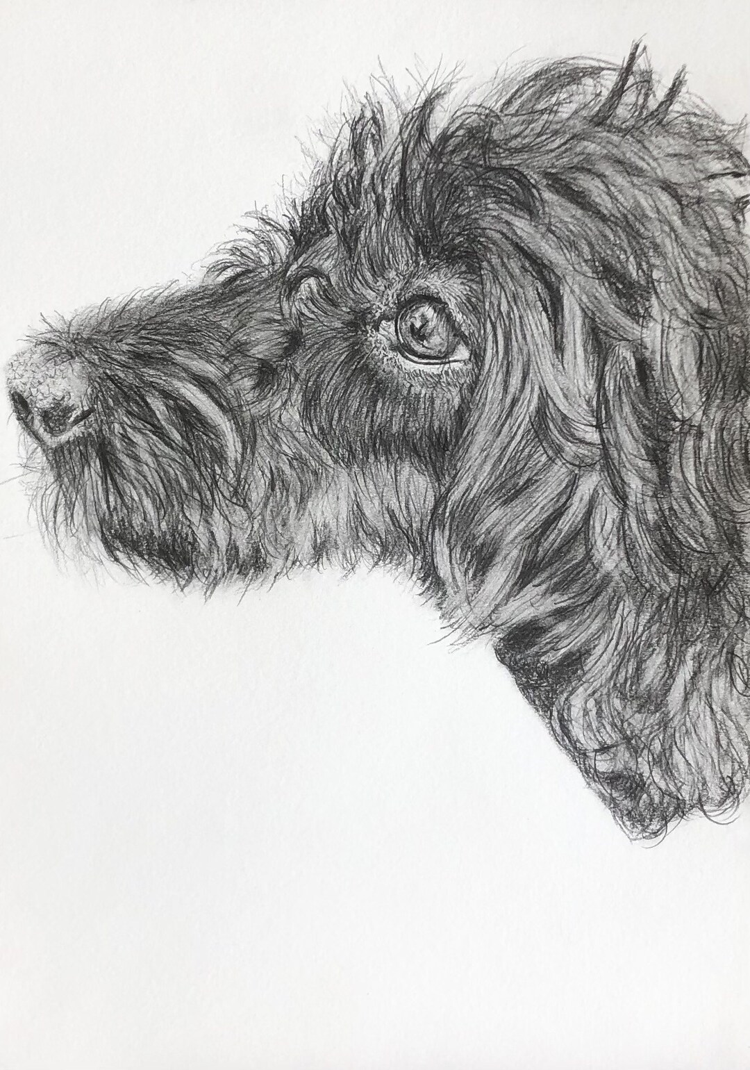Personalised Pet Drawings From Photos - Etsy