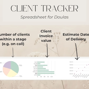 Doula Client Spreadsheet Tracker, Google Sheets Communication Log ...