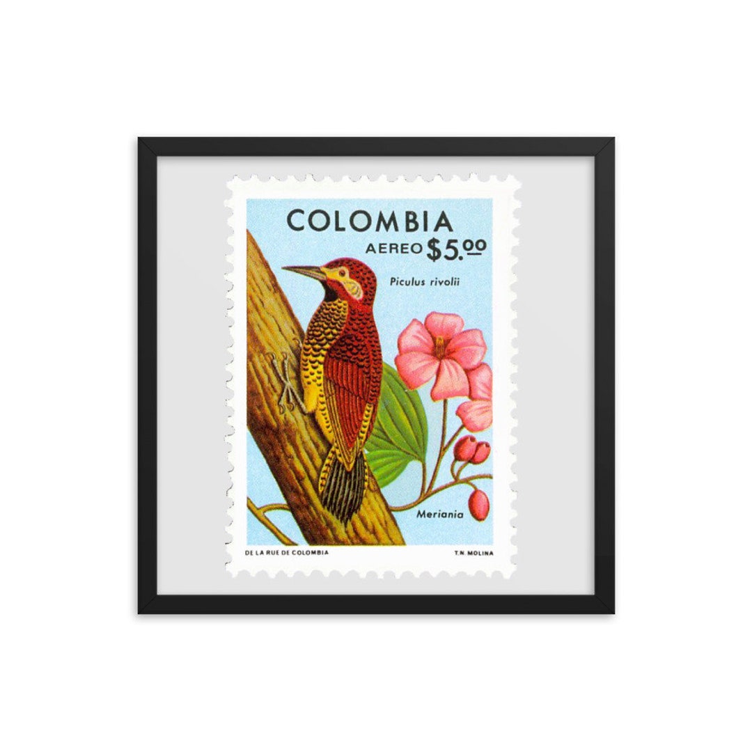 Colombian Crimson Mantled Woodpecker Bird Framed Print Gift Colombia ...