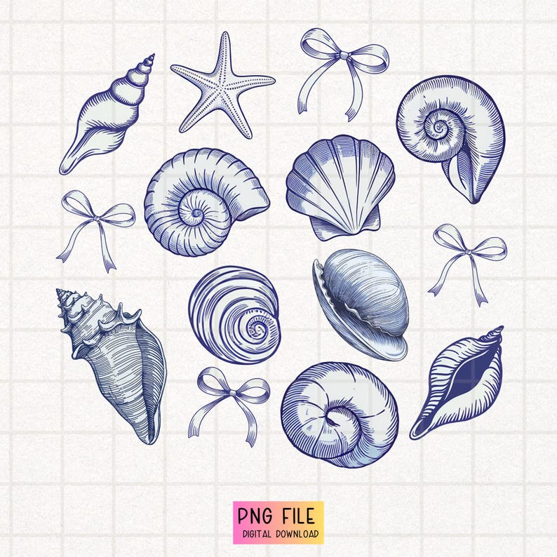 Retro Summer PNG, Coquette Seashell PNG, Summer Vibes Png, Retro Beach ...