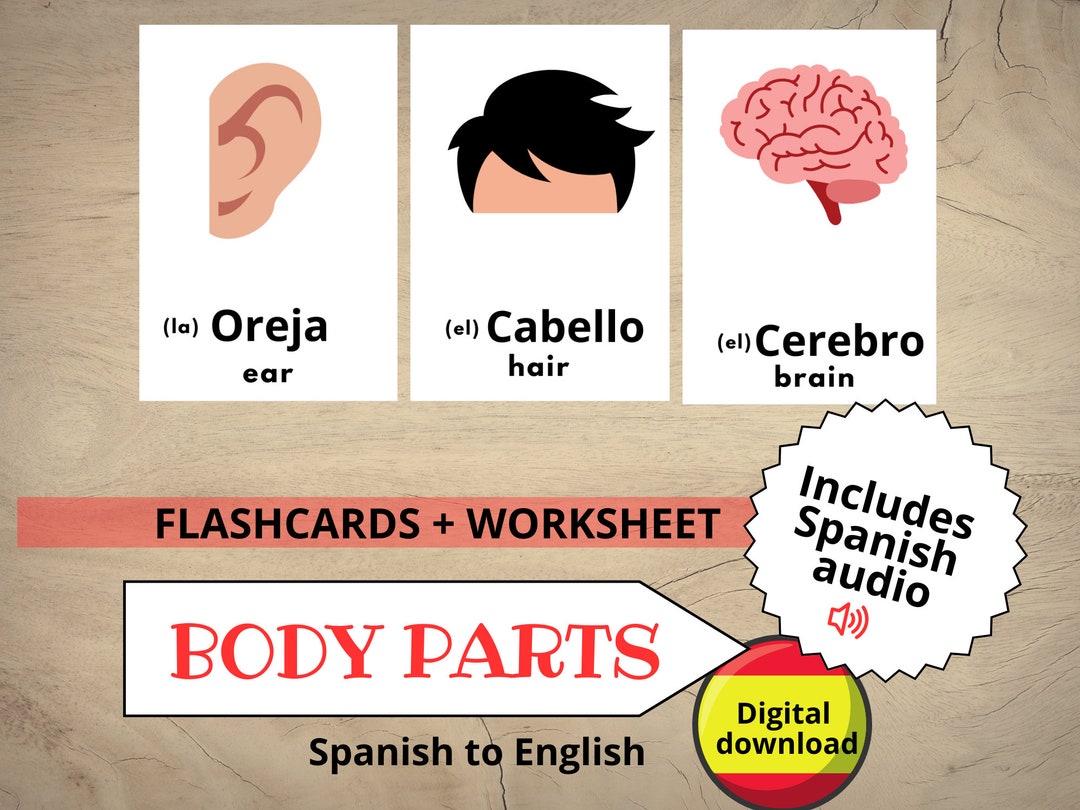 Spanish Body Parts Flashcard Printable, Spanish Worksheet for Beginners ...