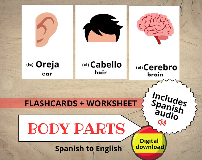 Imprimible Las partes del Cuerpo / Body Parts en español / Español para ...