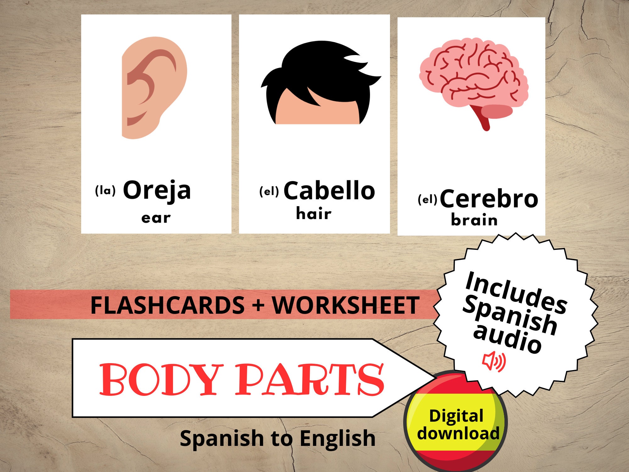 Body Parts In Spanish Worksheet