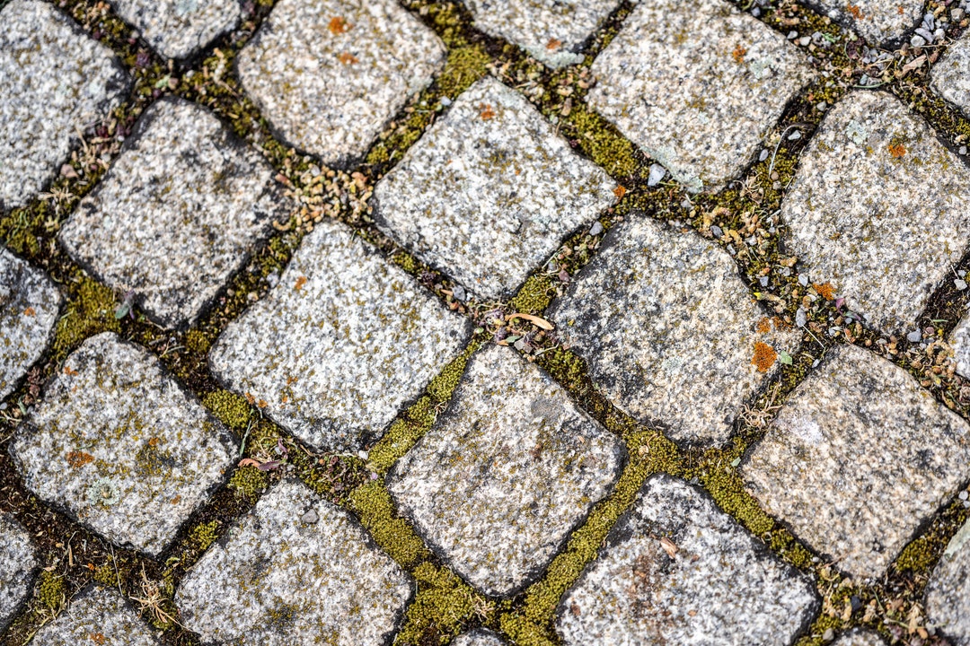 Playful Pathways: Square Cobblestones and Mossy Delights. Digital ...