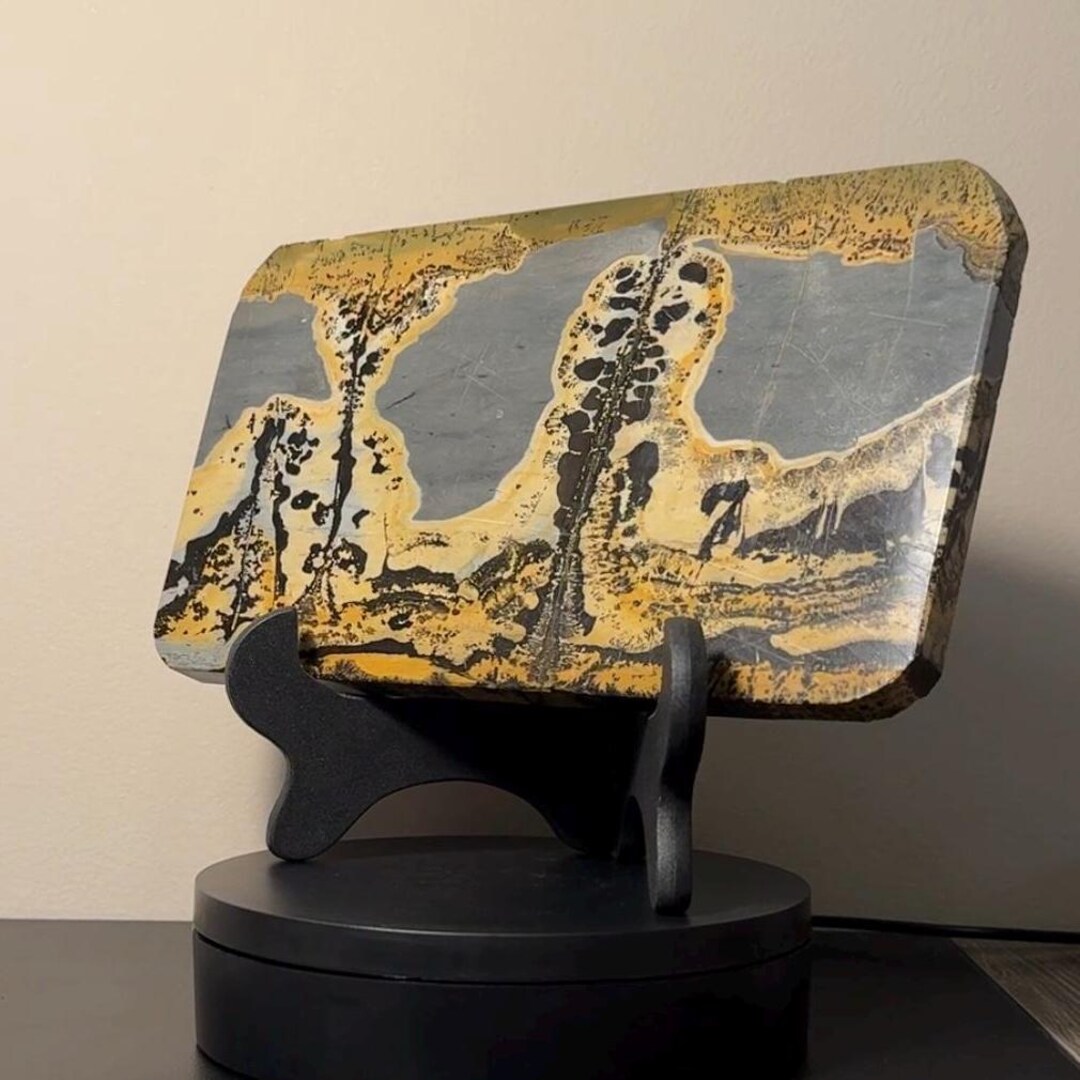 Picture Jasper Slab With Stand 2lbs 922g - Etsy