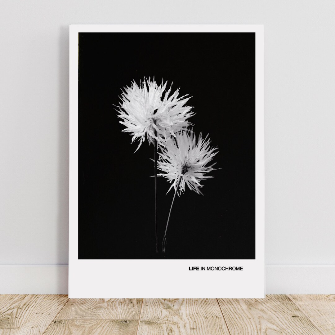 Minimalist Black and White Flower Poster - 'life in Monochrome' Giclée ...