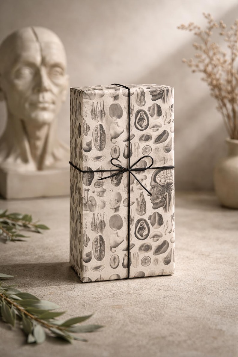 Vintage Ear Anatomy Wrapping Paper for Doctors, Otologists ...