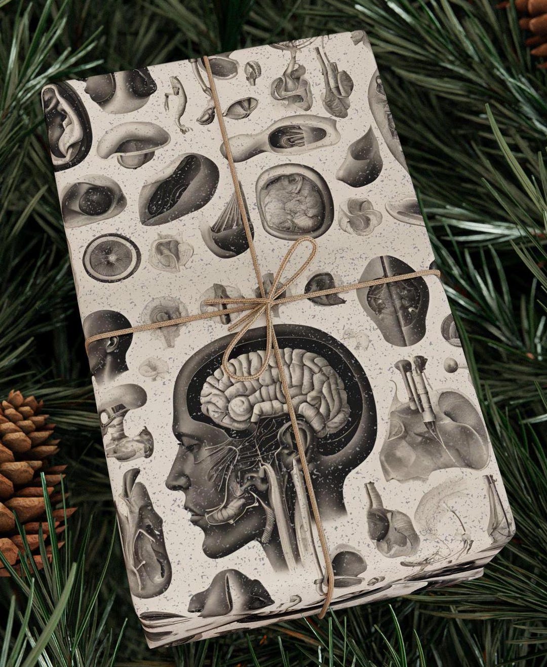 Vintage Ear Anatomy Wrapping Paper for Doctors, Otologists ...