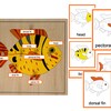 Montessori Parts of a Fish Nomenclature Cards (editable PDF) - Etsy Canada